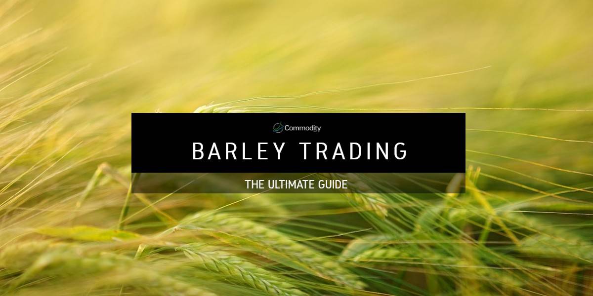 Barley Trading: Why It’s A Vital Grain Commodity In International ...
