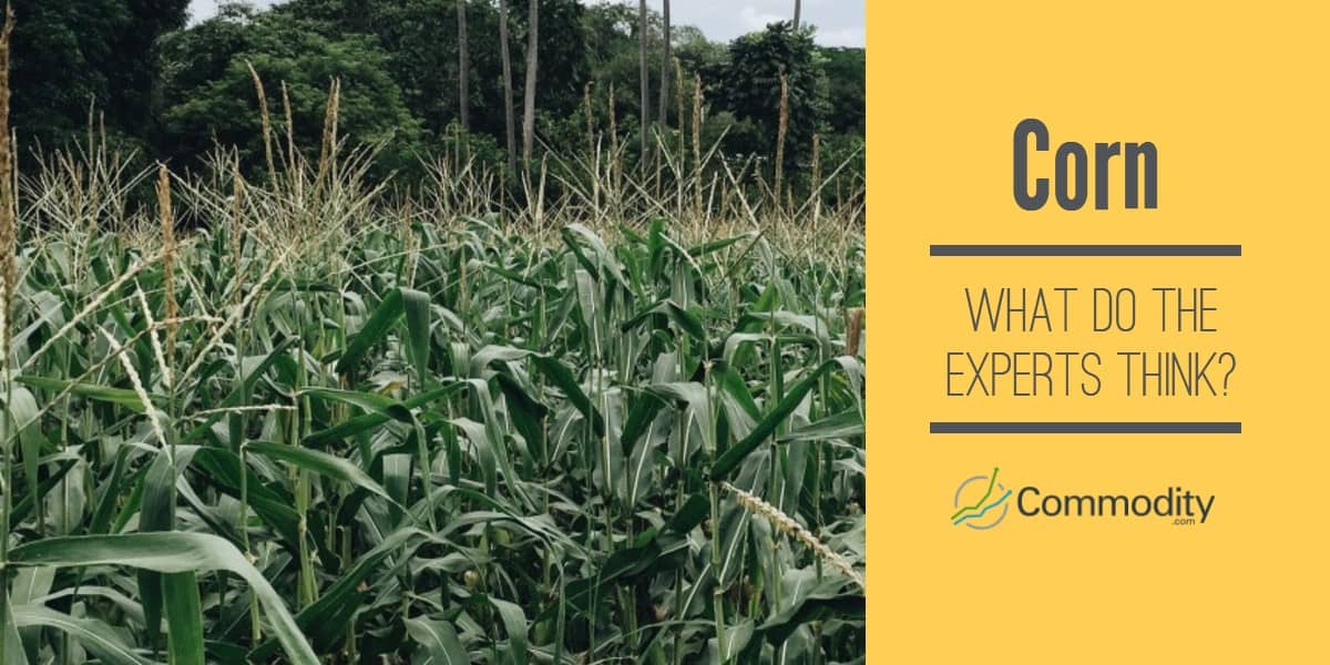 Trading Corn In 2021: 4 Reasons To Consider Corn - Commodity.com