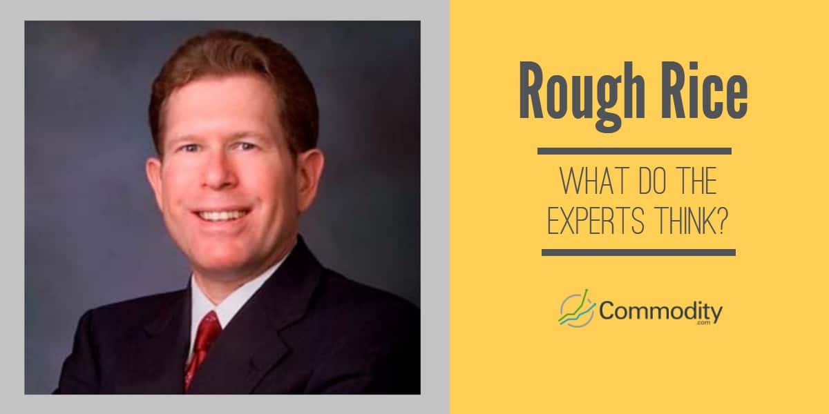 Rice Trade 2022: 4 Reasons You Might Invest Plus How To Protect Your ...