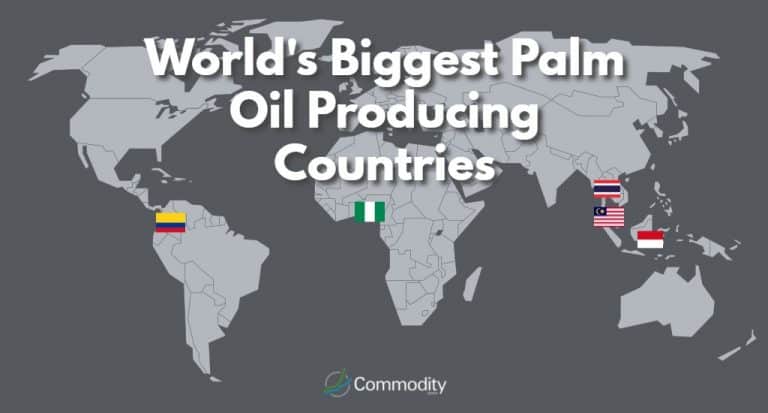 Palm Oil – What You Need to Know About The Controversial Commodity ...
